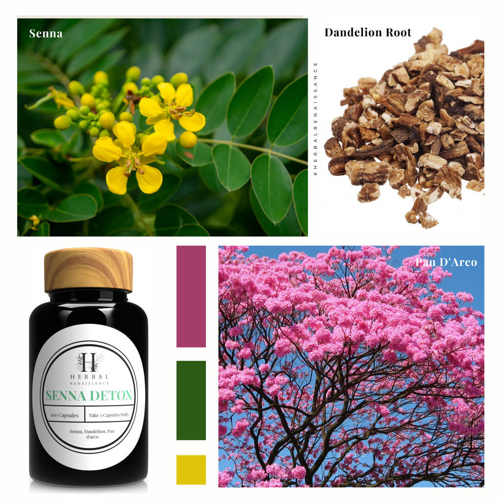 Senna Detox – Herbal Renaissance