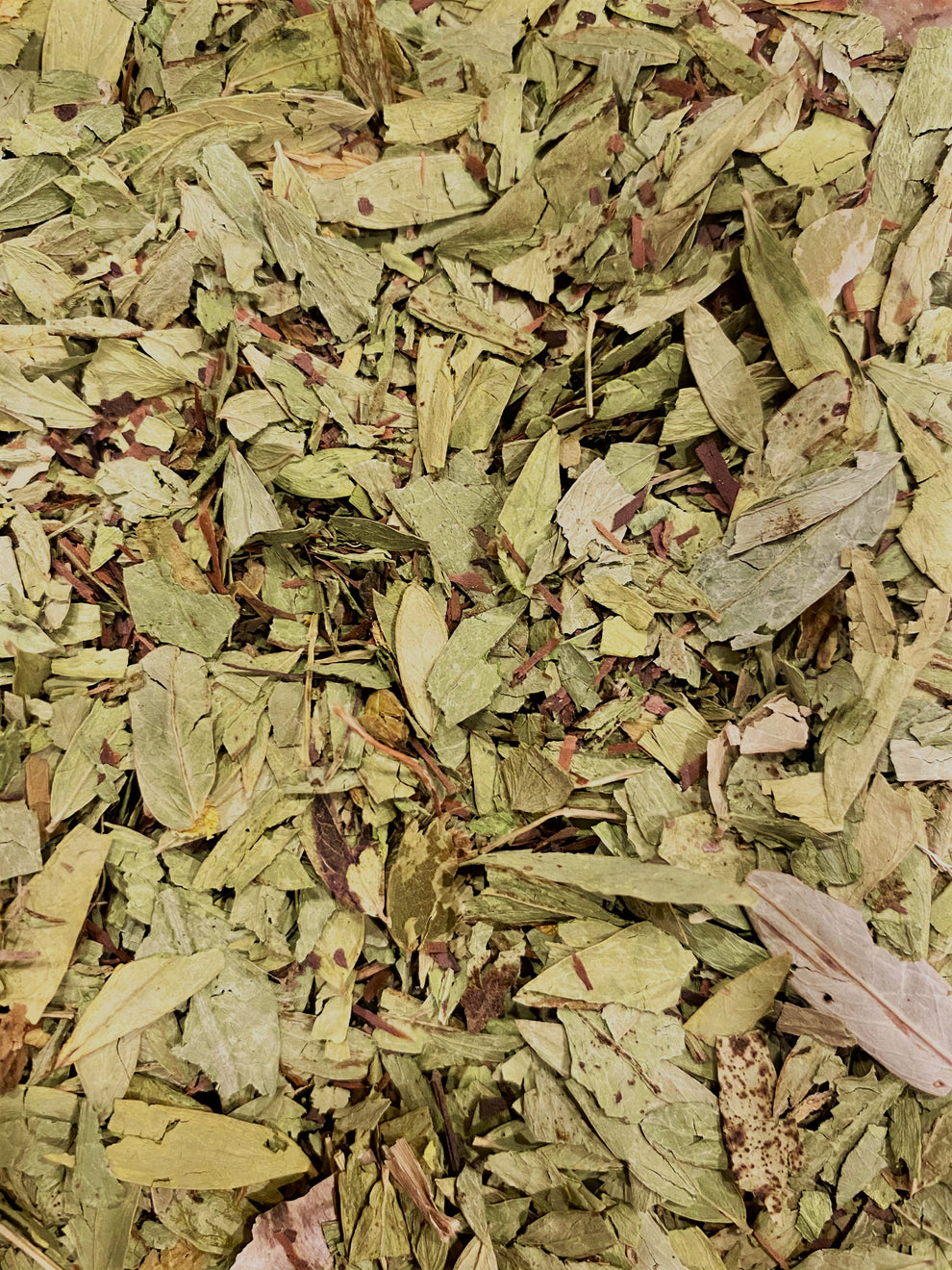 Senna Detox – Herbal Renaissance